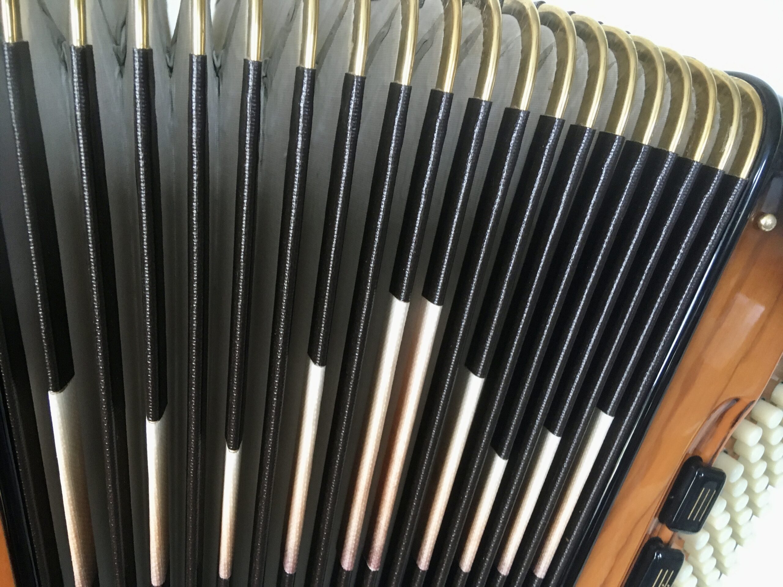 Beltuna Leader V Compact Olivenholz Gold - Koppold Musik